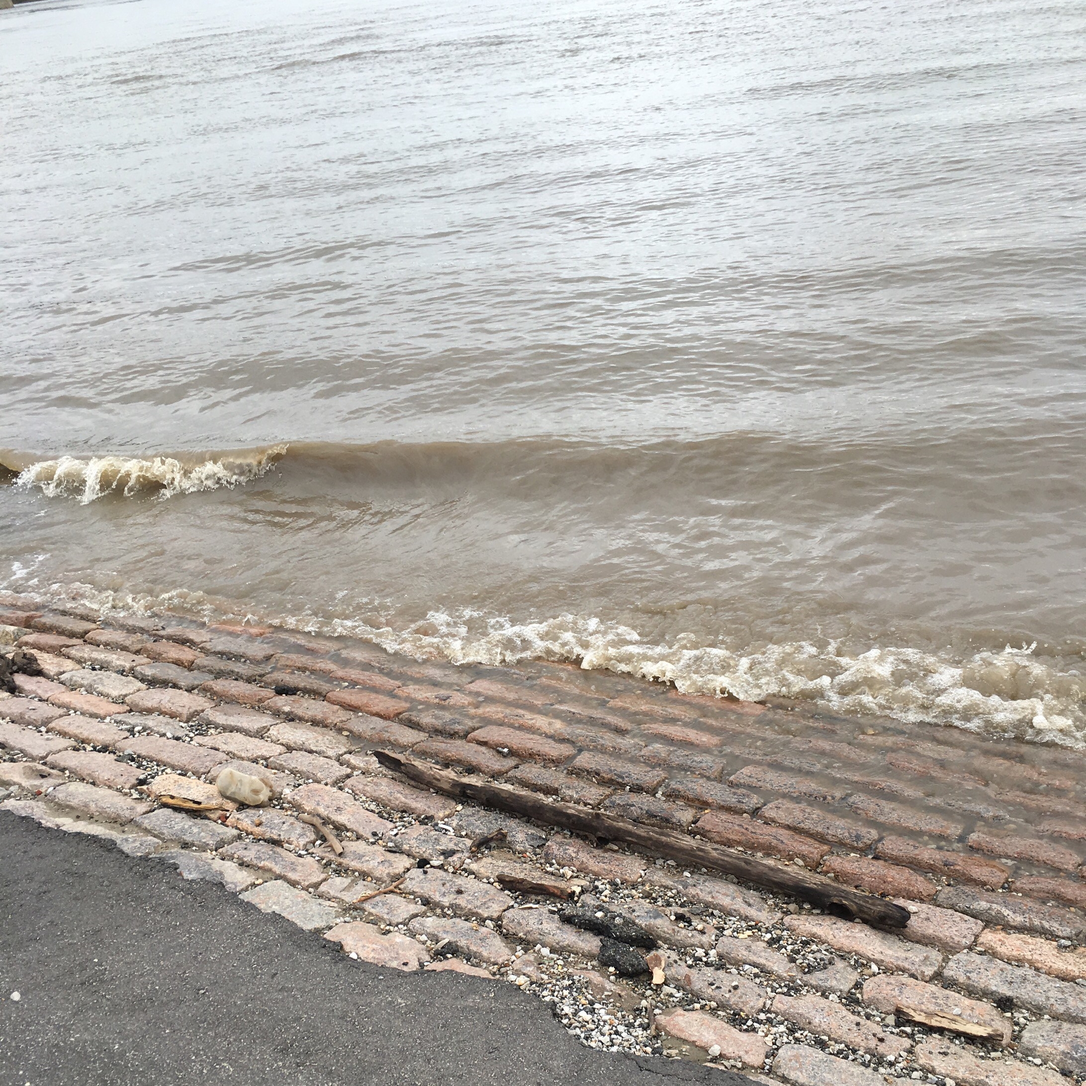 Cropped Img 2204 Life S Designs