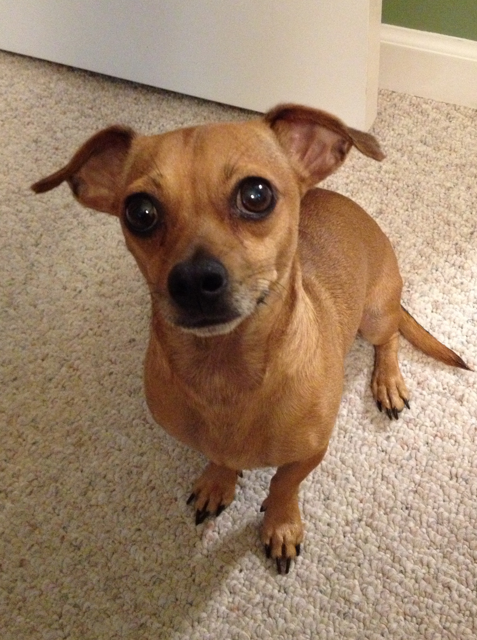 Paco, the Man | Life's Designs